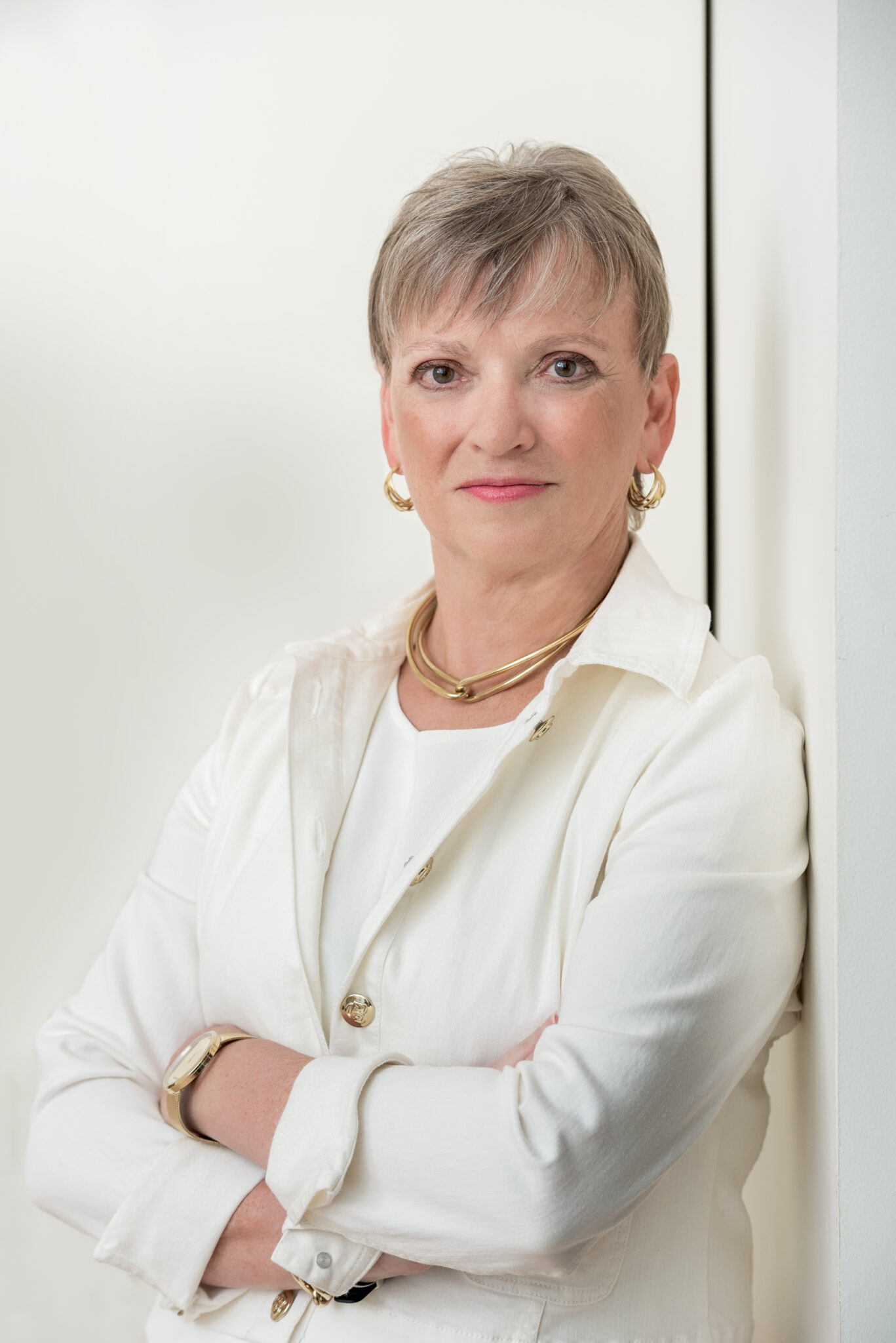 Introducing the ACCESS Board – ACCESS NL